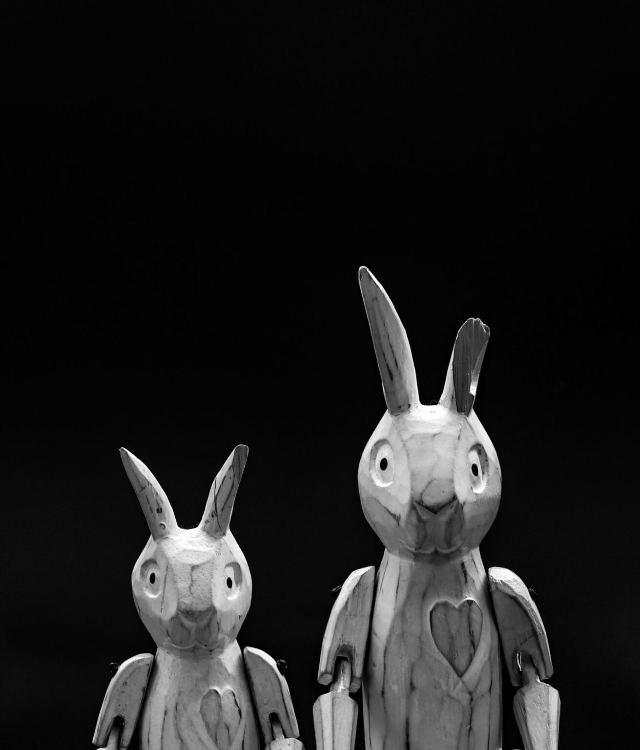 Peter, Rabbit – White Wall Review